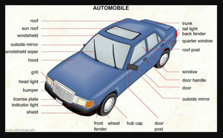Quarter Panel vs Fender: Full Comparison